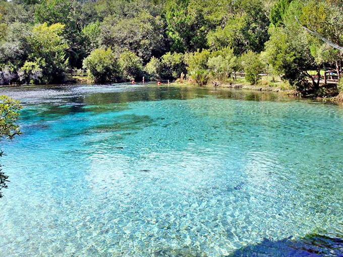 Crystal-clear waters at Ocala National Forest's springs reveal every detail of the sandy bottom, even at surprising depths.