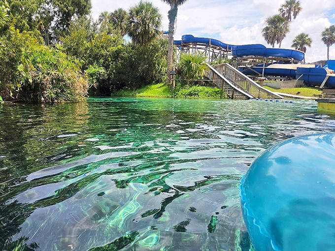 Weeki Wachee's spring-fed waters create a natural swimming pool so clear you'll wonder if you're floating in air rather than water.