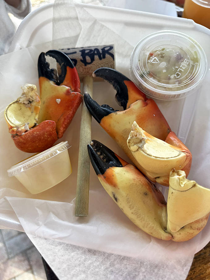 Stone crab claws &ndash; Florida's coastal treasure &ndash; served with the perfect amount of crack to access that sweet, delicate meat within.