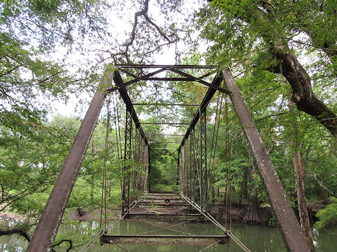 Florida's most haunted bridge stretches across the Chipola River, its rusted frame a perfect backdrop for the ghostly legend of Elizabeth Bellamy.
