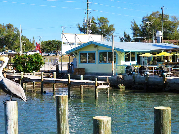 Cortez fishing village maintains its authentic working waterfront, where commercial fishing boats still bring in daily catches just as they have for generations.