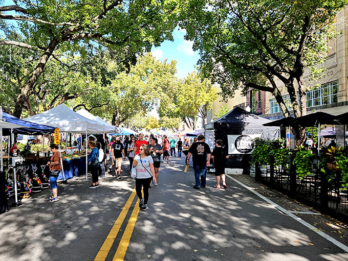 Lakeland Downtown Farmers Curb Market transforms historic streets into a charming shopping destination with local vendors and community spirit.
