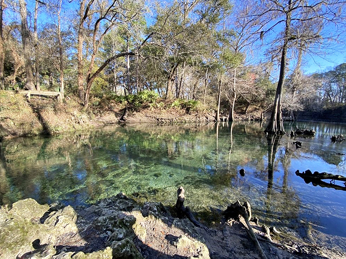 Madison Blue Springs' limestone basin cradles water so blue it seems photoshopped. Mother Nature showing off her best work!