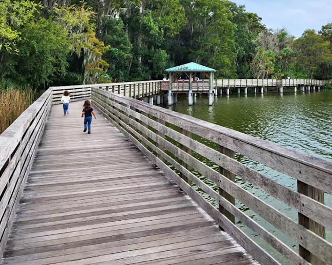 Mount Dora's lakeside charm on display with weathered pilings becoming perfect perches for local birds enjoying the view.