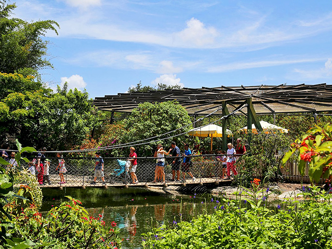 The butterfly conservatory's walkway invites visitors into a lush tropical paradise where thousands of colorful wings flutter freely around you.