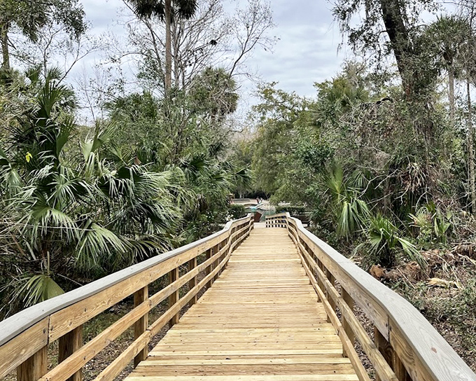 Nature's perfect boardwalk guides visitors through Wekiwa's palm forest, promising crystal waters ahead.