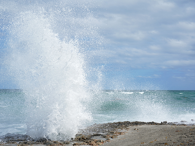 When waves meet ancient coral rock at Blowing Rocks Preserve, nature puts on a spectacular show of water shooting skyward like natural geysers.