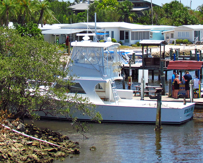 Cortez's working waterfront maintains its authentic fishing village character, resisting the high-rise development that's transformed much of Florida's coast.