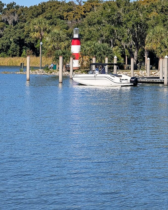 Peaceful palm reflections at Mount Dora, where the lake's surface mirrors the tropical landscape in perfect symmetry.