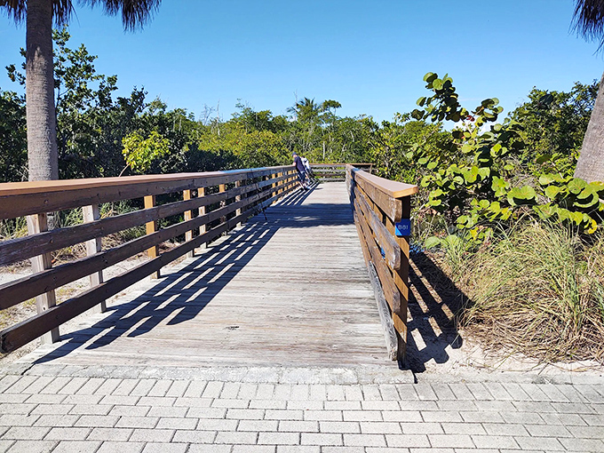 The wooden boardwalk stretches toward the horizon at sunset, when golden light transforms Peanut Island's simple pathway into a magical journey over sand and sea.