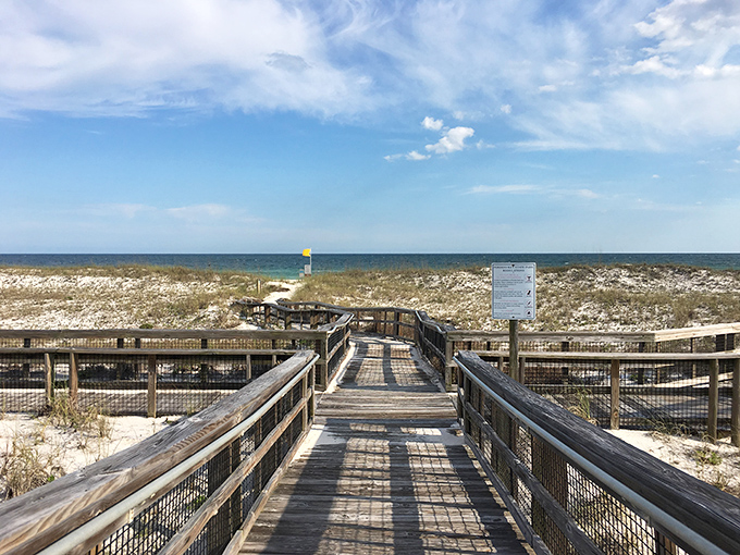 The wooden pathway cuts through protected dunes, allowing visitors to experience fragile coastal ecosystems without disturbing a single grain of sand.