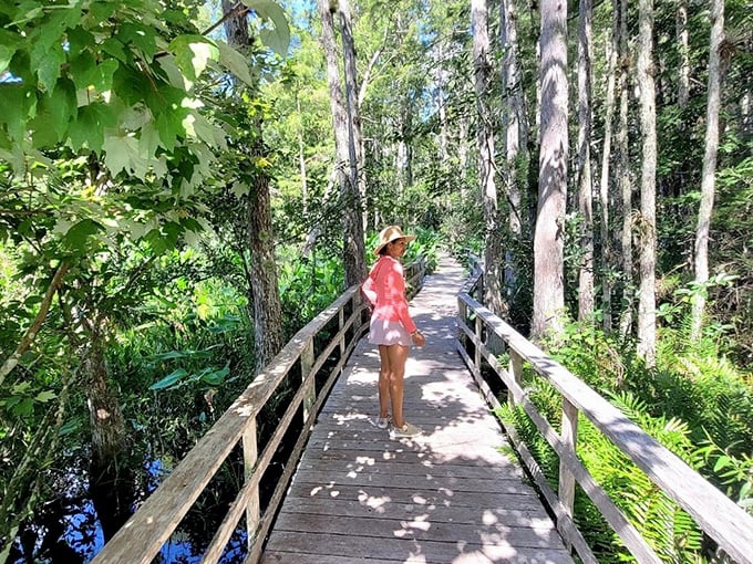 Dappled sunlight plays hide-and-seek through the cypress canopy, creating a natural light show on this wooden path through paradise.