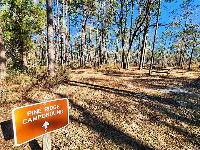 Pine Ridge Campground sign points the way to where ghost stories and marshmallows become the evening's entertainment.