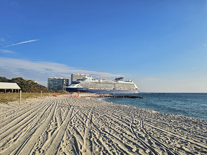 The Celebrity Apex glides majestically past the park's shoreline &ndash; a floating city making its grand exit to Caribbean adventures beyond.