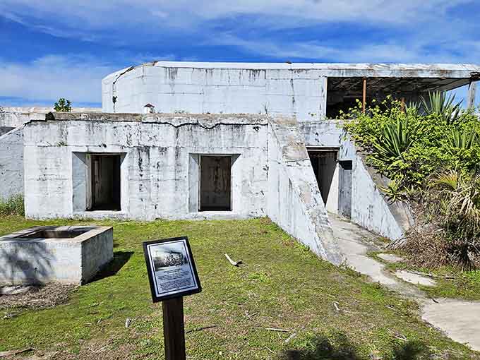 These weathered structures once housed soldiers defending Tampa Bay, now they host palmetto plants and provide excellent Instagram opportunities for history nerds.