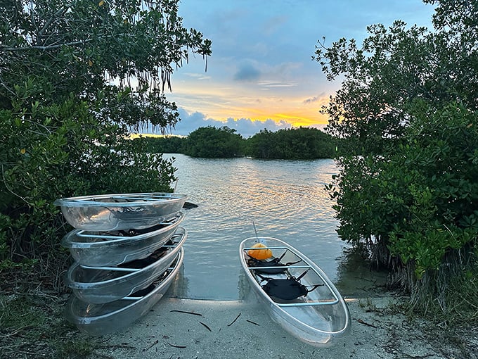 Transparent vessels lined up like glass slippers, each promising a Cinderella story on the water.