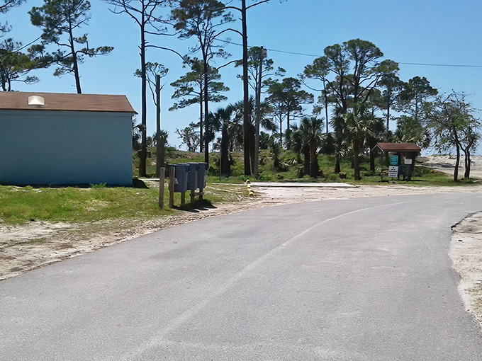 This pathway leads through coastal wilderness to the beach, the first leg of an unforgettable equestrian journey.