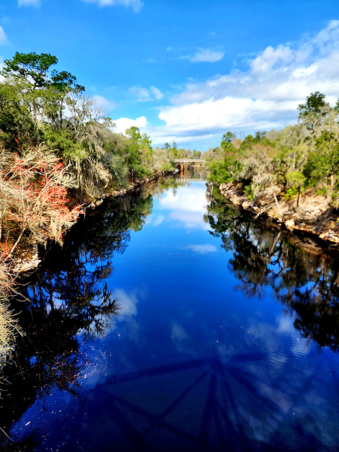 The Suwannee River reflects perfect blue skies, its tea-colored waters hiding centuries of Florida history beneath the surface.