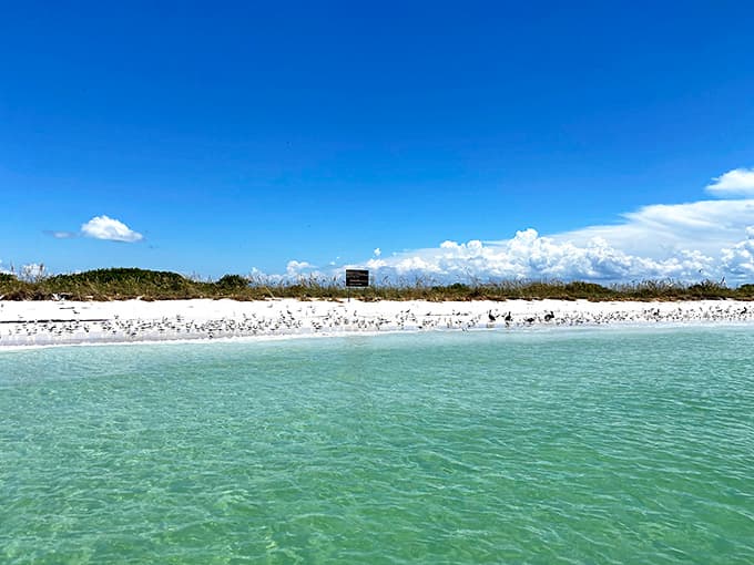 This is what "unspoiled" looks like: sand so white it practically glows and water so clear you'll forget what murky means.