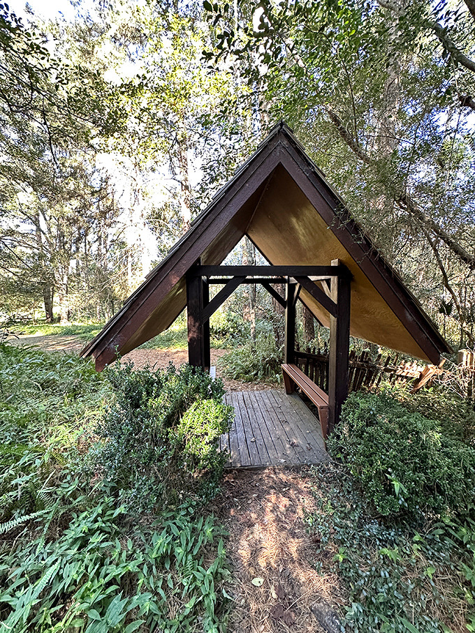 A whimsical wooden shelter that looks like it's waiting for a troupe of woodland musicians to arrive for an impromptu concert.