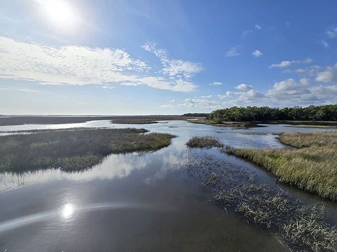 The wetlands stretch out like nature's own watercolor painting, proving that Florida does subtle beauty as well as dramatic.