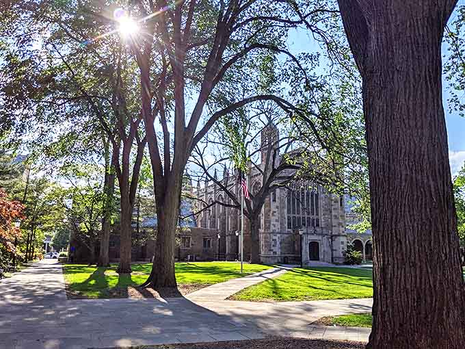 Majestic trees frame this cathedral of learning, their branches creating natural archways that complement the building's soaring gothic lines.