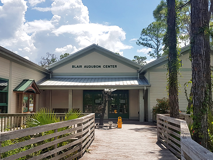The Blair Audubon Center welcomes nature enthusiasts with its understated charm – the perfect basecamp for swamp adventures.