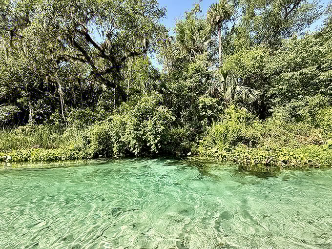 Nature's looking glass: The water is so clear you'll wonder if someone forgot to put it there.