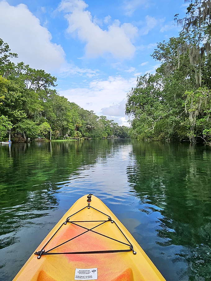 Yellow kayak cutting through mirror-like waters &ndash; the aquatic equivalent of gliding through air. Adventure awaits around every bend!