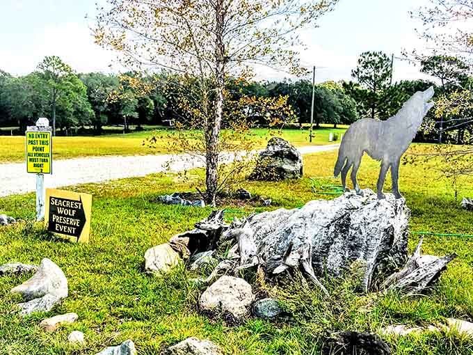 A metal wolf silhouette marks the preserve entrance, standing sentinel against a backdrop of Florida's lush greenery and open skies.