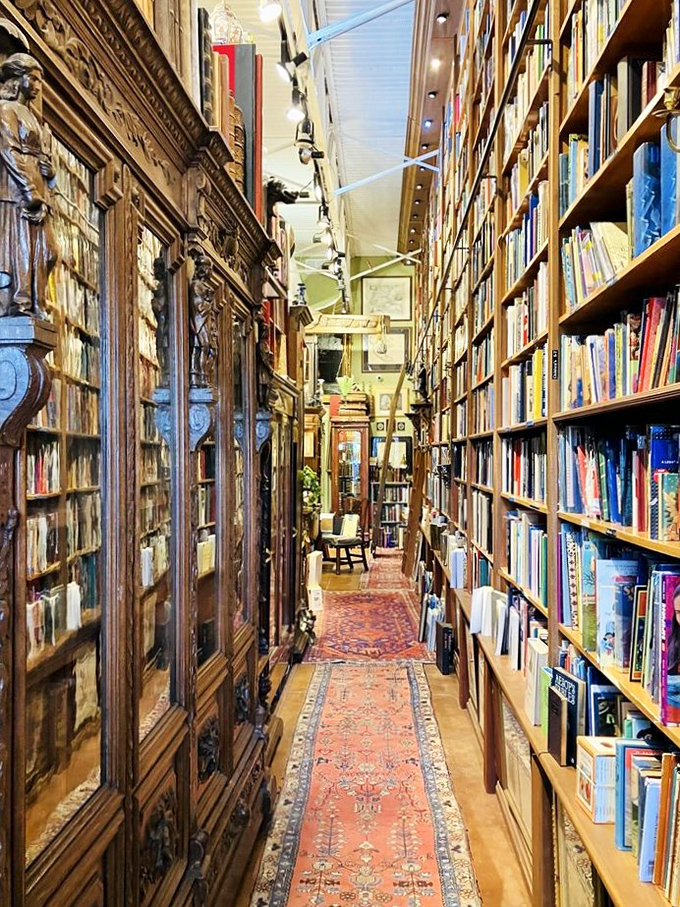 Like a secret passage in a literary castle, this narrow corridor leads deeper into the labyrinth of knowledge and imagination.