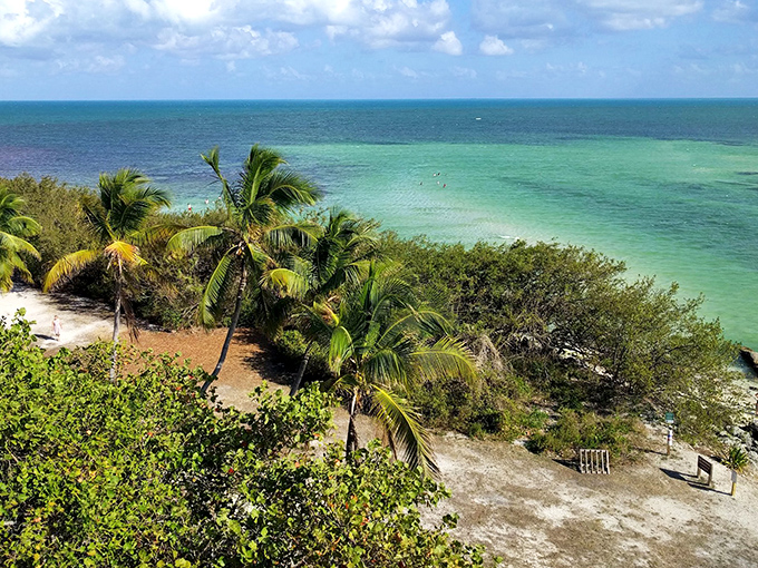 Palm trees stand like nature's umbrellas, their fronds whispering secrets of pirates and treasure that once passed through these waters.