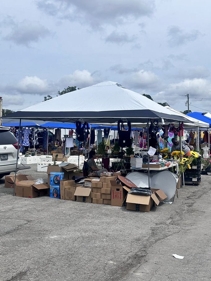 Boxes of potential treasures await their forever homes &ndash; the thrill of the hunt is half the fun at this decades-old Florida institution.