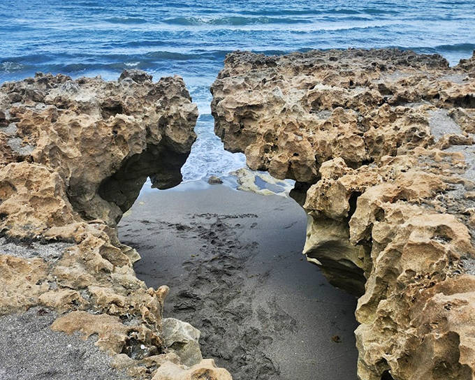 Blowing Rocks' dramatic limestone formations create natural bridges where Atlantic waves crash through with spectacular force.