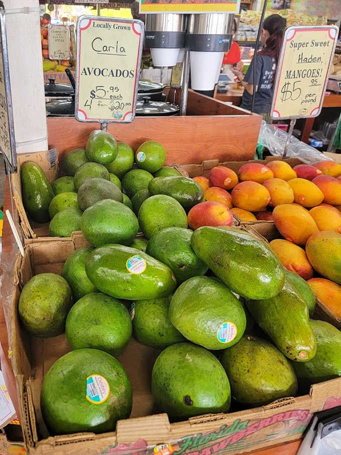 Avocado heaven! These green gems make your supermarket varieties look like sad, distant relatives of the real thing.