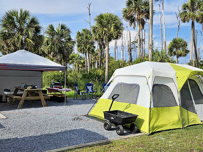 Tent camping nirvana! St. Joseph's palm-dotted campgrounds offer the perfect blend of shade, sunshine, and that "I've discovered paradise" feeling.