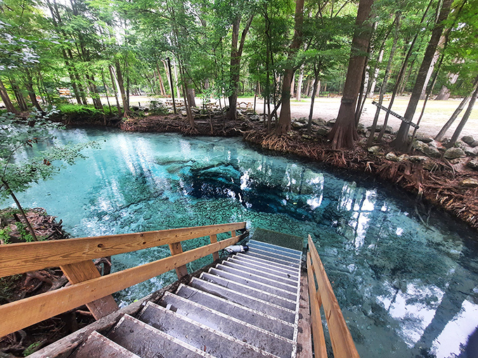 Ginnie Springs' crystal waters reveal a paradise of underwater vegetation and limestone. Florida's natural swimming pool puts man-made versions to shame!