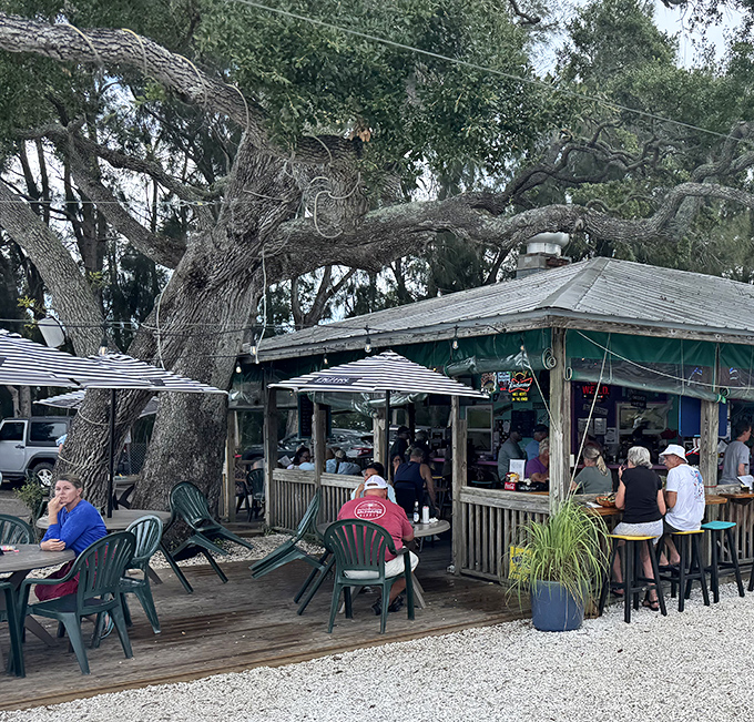 Miss Vicki's outdoor seating under ancient oaks creates a hidden paradise where cold drinks and fresh seafood meet waterfront views.