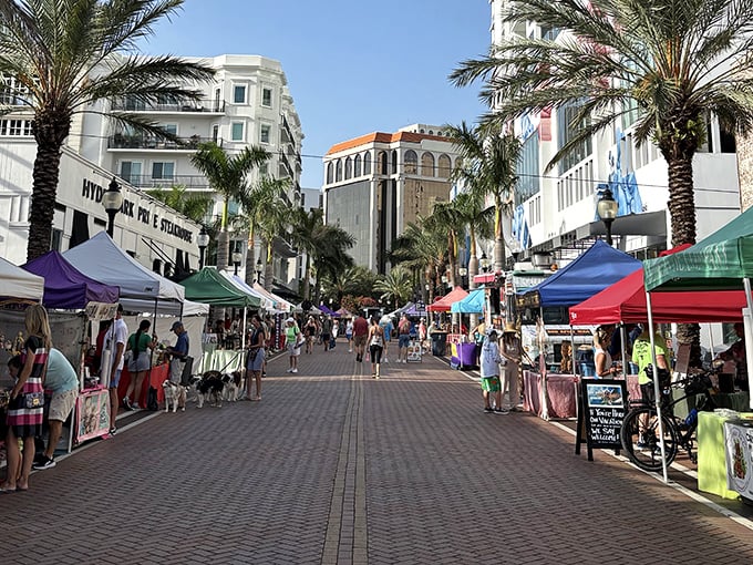 Sarasota Farmers Market fills downtown streets with vendors and shoppers, creating a pedestrian paradise under the shade of mature trees.