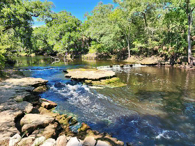 Steinhatchee Falls stretches wide across the river, creating a natural limestone shelf where water dances across the entire riverbed.