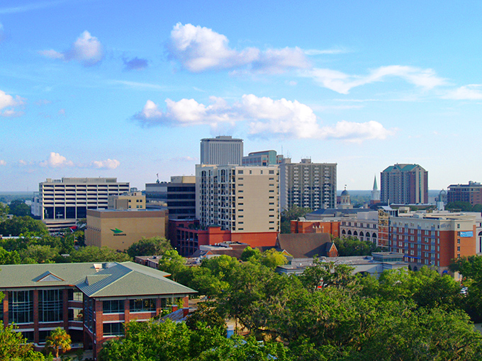 Tallahassee's skyline stretches toward cotton-candy clouds, where historic church spires share space with modern office towers in perfect harmony.