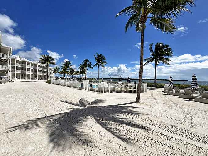 White sand beaches meet crystal waters at Isla Bella, where palm trees sway and ocean views stretch to the horizon.