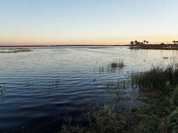 Lily pads dot the surface of Lake Tohopekaliga, adding splashes of green to the brilliant blue waters that have made this lake a fisherman's paradise.