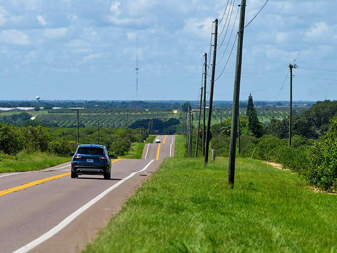 Drivers on the Ridge Scenic Highway enjoy elevated views across central Florida's lake-dotted landscape, especially beautiful at sunrise and sunset.