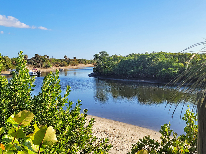 Whiskey Creek's tranquil waters invite exploration &ndash; this hidden waterway serves as a liquid highway for paddlers and wildlife alike.