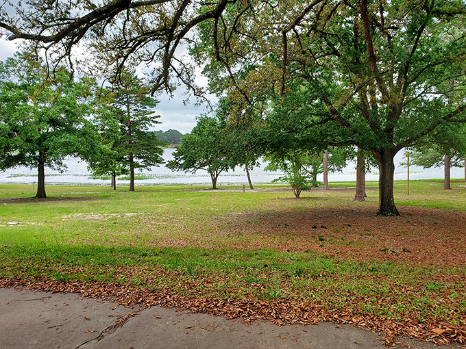 Chipley Park offers that quintessential Southern tableau&mdash;majestic trees, dappled sunlight, and a lake view that practically demands you slow down and breathe.