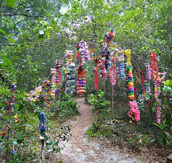 Colorful beads create a canopy of sparkle overhead, transforming an ordinary forest path into something Liberace would have found tastefully understated.