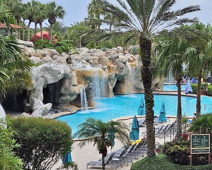 Palm trees frame this elevated view of the pool's rock formations and waterfalls, nature and luxury in perfect harmony.