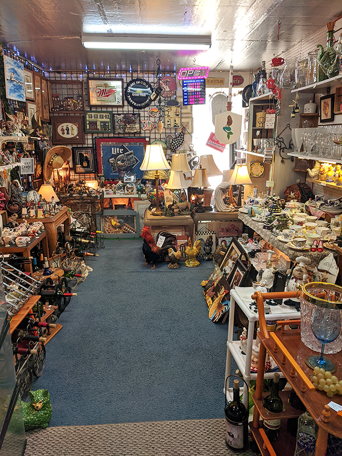 Home decor heaven awaits as forgotten treasures from yesteryear compete for space in your living room's future.