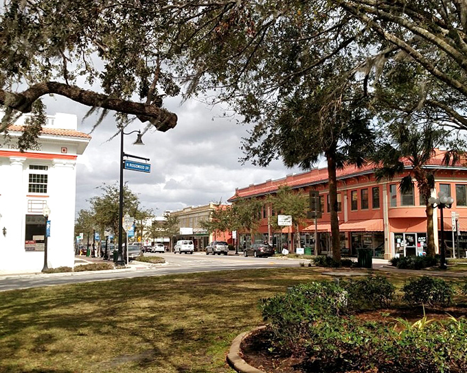 Downtown streets intersect near Circle Park with the kind of orderly charm that makes you wonder why every city doesn't organize itself around a central green space and call it a day.